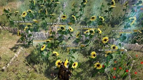 Striker Awakening and Awakening Weapon revealed in BDO KR - Inven Global